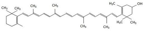 Structure Of β Cryptoxanthin Download Scientific Diagram