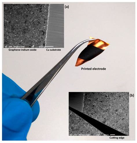 Chemosensors Mdpi On Linkedin Article Recommendation Graphene Electrochemical Sensor