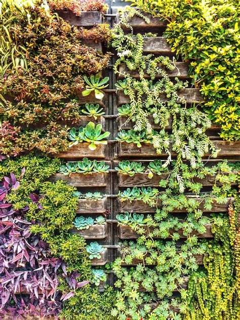 10 Contoh Konsep Taman Minimalis Depan Rumah Yang Estetik