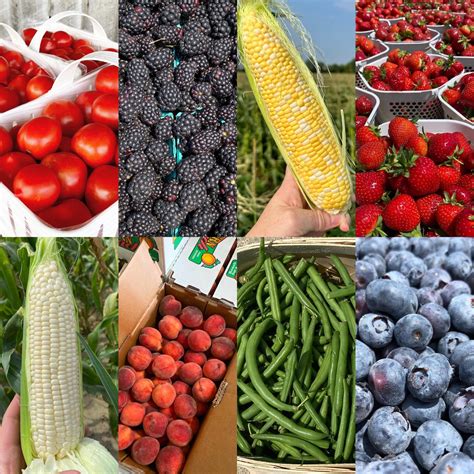 God Gave Us Two Ears And One Mouth We Should Use Them Proportionately This Week Focus On