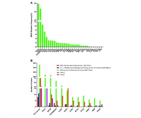 Braf Mutation Distribution In Various Cancer Types And Protein Download Scientific Diagram