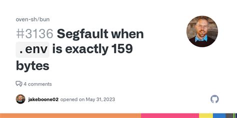 Segfault When `env` Is Exactly 159 Bytes · Issue 3136 · Oven Shbun