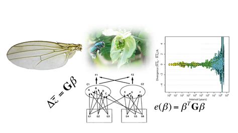 Publication On Evolvability A Unifying Concept In Evolutionary