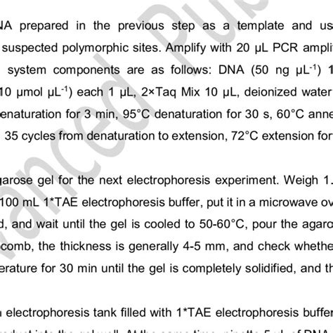 Schematic Diagram Of Primer Design And Predicted Electrophoresis