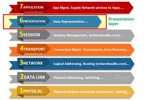 Presentation Layer Of Osi Model Layer 6 Networkwalks Academy