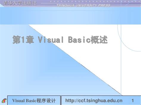 Visual Basic概述word文档在线阅读与下载无忧文档