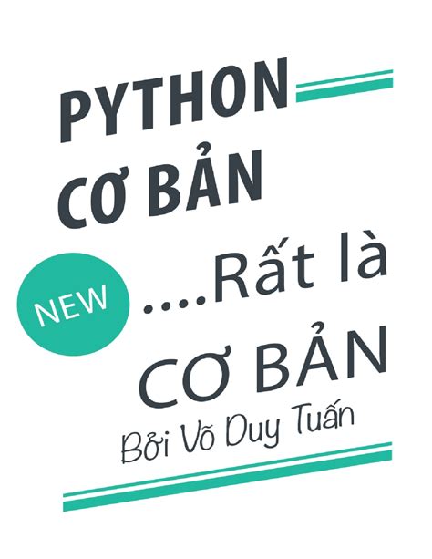 Understanding Program Efficiency Using Python Programming Summaries