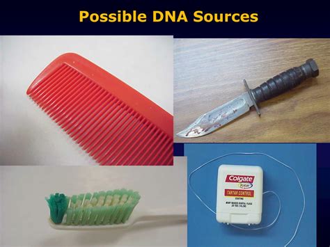 PPT Forensic DNA Profiling Workshop PowerPoint Presentation Free Download ID