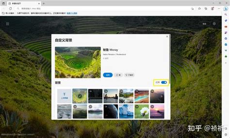 自用设置外观简洁的edge浏览器 知乎