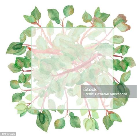 녹색 유칼립투스 나무 잎과 나뭇가지 꽃다발과 함께 수채화 손 그린 자연 구성 은 초대 및 인사말 카드에 대한 텍스트 공간과 중간에 밝은 흰색 사각형 프레임과 꽃다발 잎에