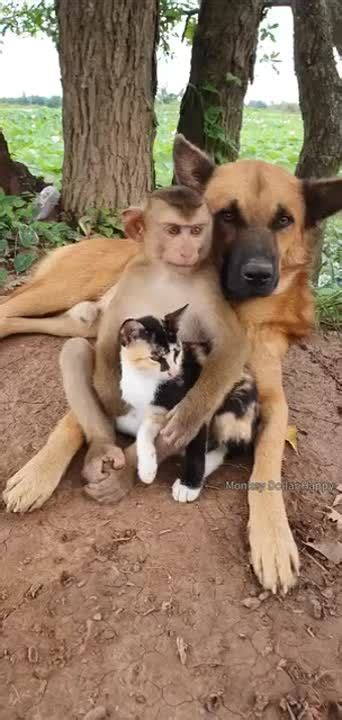 Anil Kulkarni On Linkedin Influencer Influencers Influencing