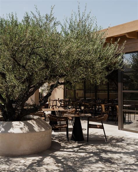 Momi Slow Living Hotel Hersonissos Best Deals