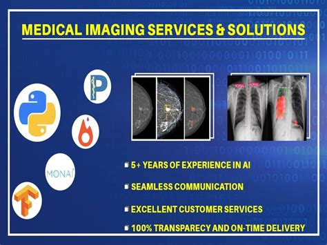 Segmentation Classification Disease Detection Medical Image