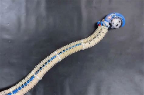 soft robotic arm inspired by octopus movement holds promise for medical