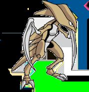 Kabutops Pokémon Wiki Fandom