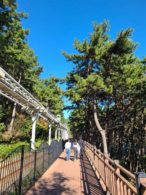 부산 가족여행 코스 추천 부산 2박3일 힐링여행 첫째날 코스 네이버 블로그