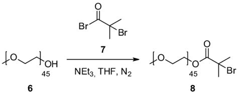 Si Reaction Scheme For The Preparation Of The Peg 45 Br Macroinitiator
