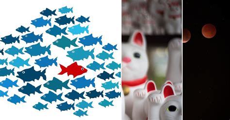 List Anomaly Detection Curated By Vikash Kumar Medium