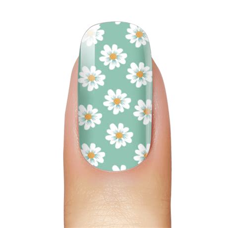 New Daisy Bunch Colour Flash Gmbh