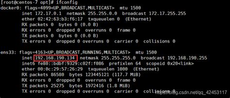 centos7搭建个人站点 centos docke 安装个人导航网站 csdn博客
