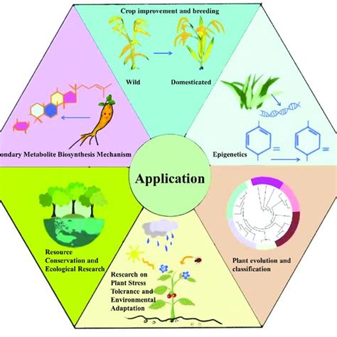 The Application Of Genetic Sequencing Technology Download Scientific