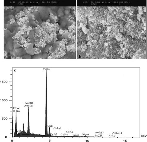 SEM Images Of Pure A Doped TiO B And EDX C Of Doped TiO Download Scientific Diagram