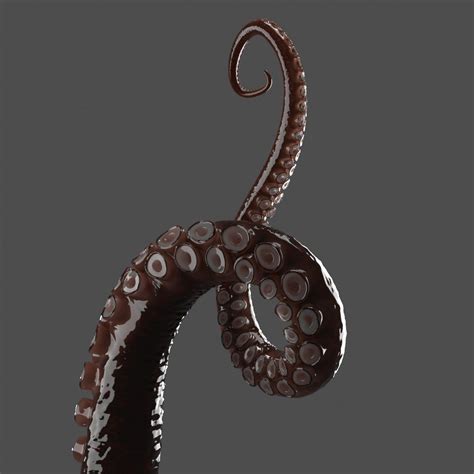 Animated Tentacle 3d Models Download Free3d