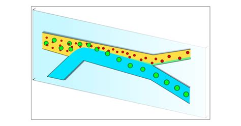 On Chip Microparticle And Cell Washing Using Coflow Of Viscoelastic Fluid And Newtonian Fluid