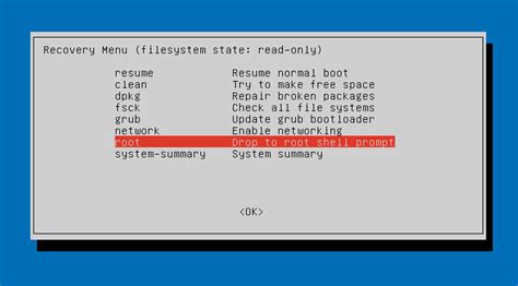 Linux Mint Recovery Mode Or Advanced Boot Options