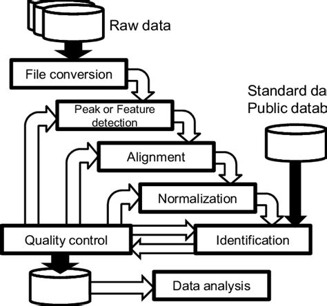 Typical Processing Flow Of MS Data In The Field Of Metabolomics Raw Download Scientific