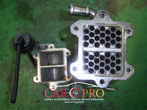 흡기크리닝 Egr쿨러 크리닝 정비 Dm싼타페 카프로샵