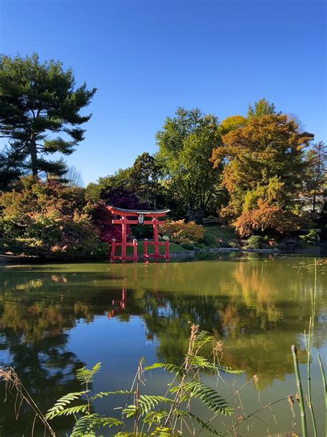 14 Ways To Enjoy The Magic Of Fall In New York City From Inwood Out