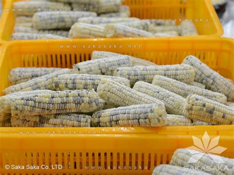 Frozen White Sticky Corn Food Supplier