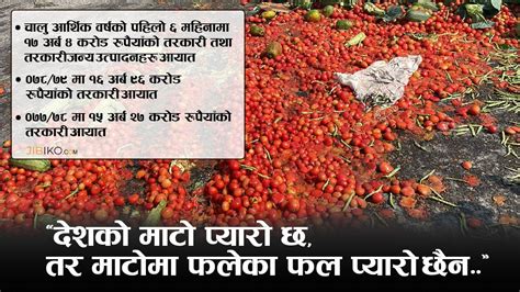 दशक मट पयर छ तर मटम फलक फल पयर छन JIBIKO