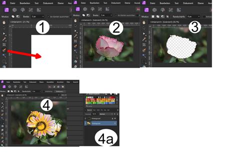 Can T Place An Image Underneath Another One Affinity On Desktop Questions MacOS And Windows