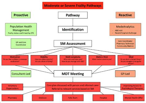 Proactive And Reactive Care Pathways For Older People With Moderate Or Download Scientific