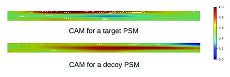 Class Activation Mappings Of One Target And One Decoy Psms Download
