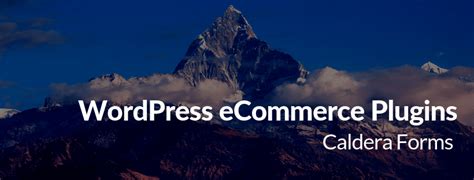 How To Choose An Ecommerce Plugin Based On Your Needs Wordpress Form