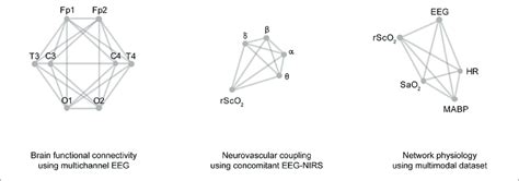 Examples Of Graph Models In Biomedical Data Processing From Left To