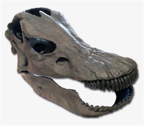 Diplodocus Png 780x650 Png Download Pngkit