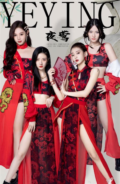 Dj 夜莺 简介、介绍