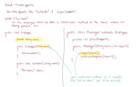 Chapter Inheritence Flashcards Quizlet