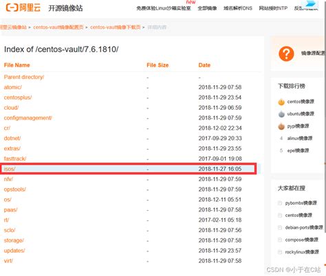 镜像下载（详细教学） 各版本的介绍centos76镜像下载教程 Csdn博客