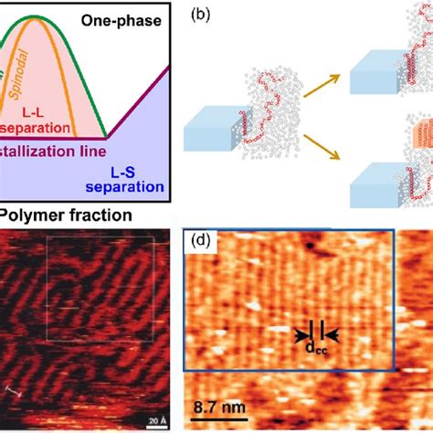 Schematic Procedure For Fabricating Large Area Conjugated Polymer Based Download Scientific