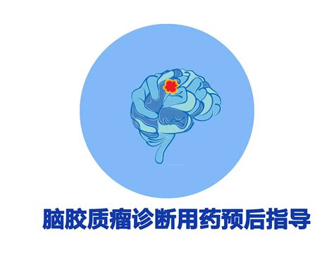 鑫诺美迪 鑫诺美迪