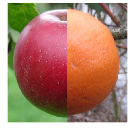 Multiresolution Pyramids Part 4 Image Blending Steve On Image Processing With Matlab Matlab