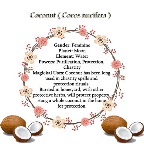 Coconut Herbal Magick