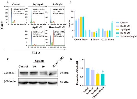 Design Synthesis And Biological Activity Evaluation Of β Carboline Derivatives Containing