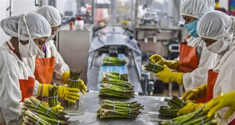 A New Agro Processing Unit In Mapou Agromoris