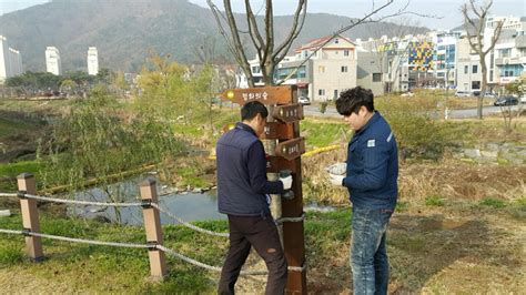 순천조례호수공원 방향표지판 정비사업 나무간판 신대디자인테크주
